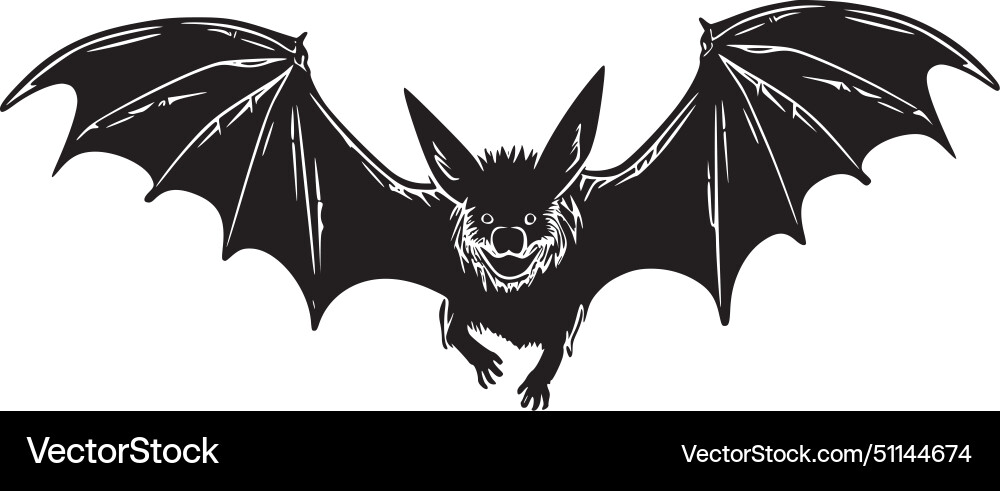 Bat - high quality logo - ideal for t-shirt Vector Image