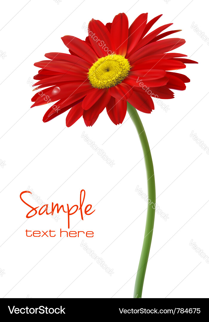 Beautiful red flower Royalty Free Vector Image