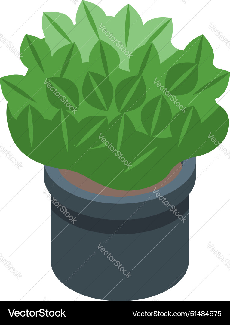 Potted plant Royalty Free Vector Image - VectorStock
