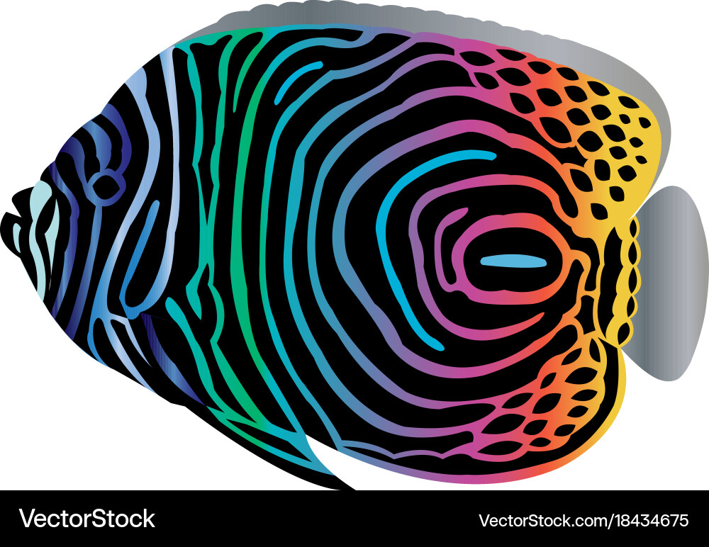 Tropical fish Royalty Free Vector Image - VectorStock