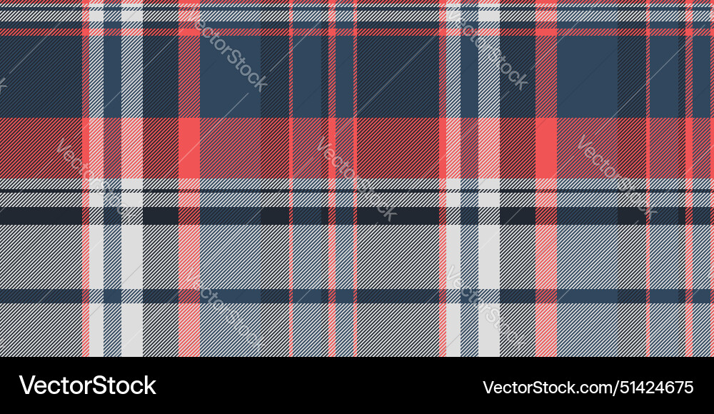 Youth fabric textile plaid day seamless check Vector Image