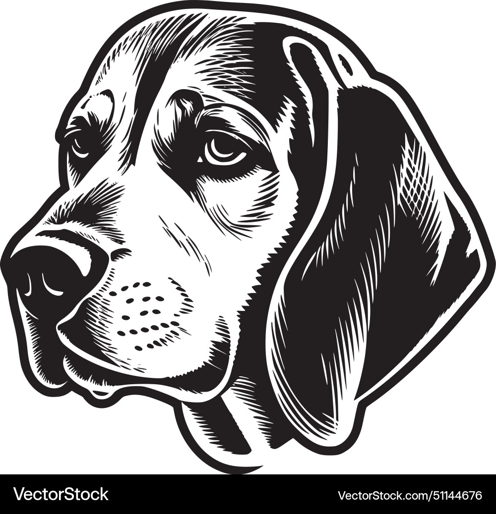 Beagle - high quality logo - ideal for t-shirt Vector Image