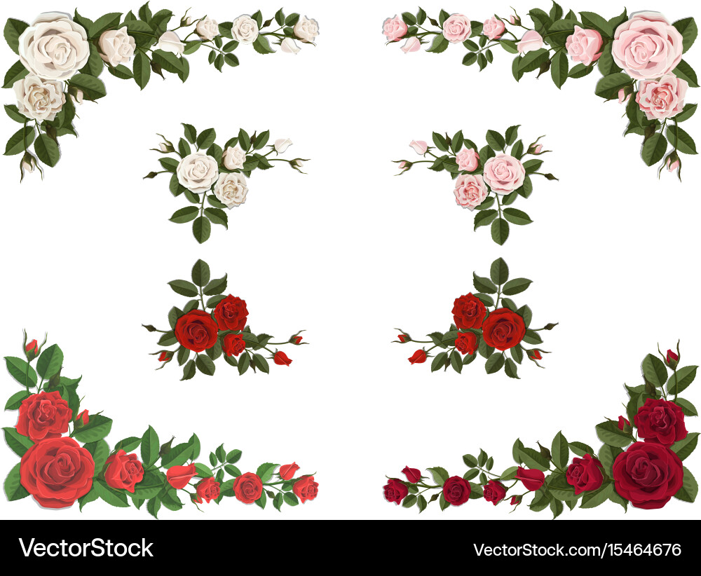 Set of corner bouquet roses different color Vector Image