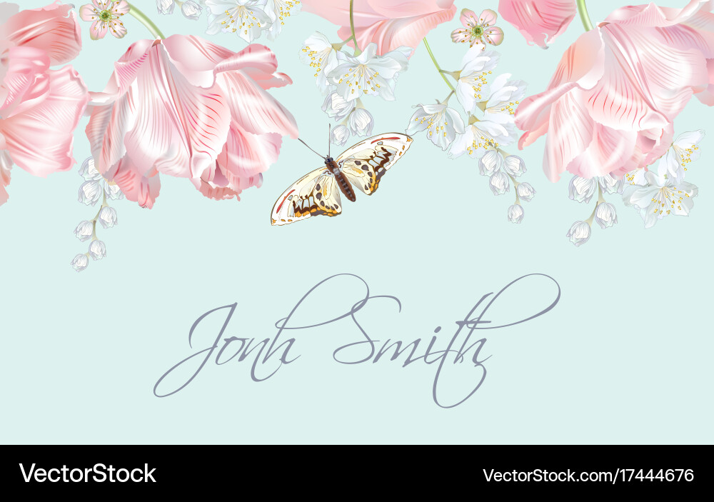 Tulip butterfly name Royalty Free Vector Image
