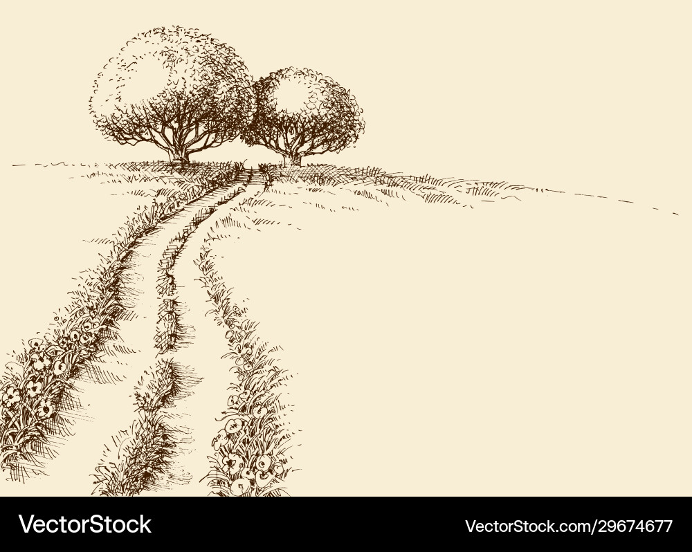 Nature wallpaper two trees on a hill and path Vector Image