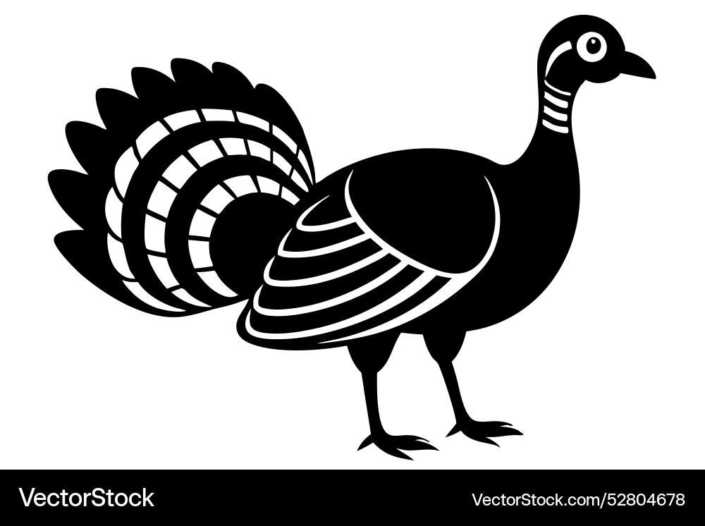 Wild turkey Royalty Free Vector Image - VectorStock