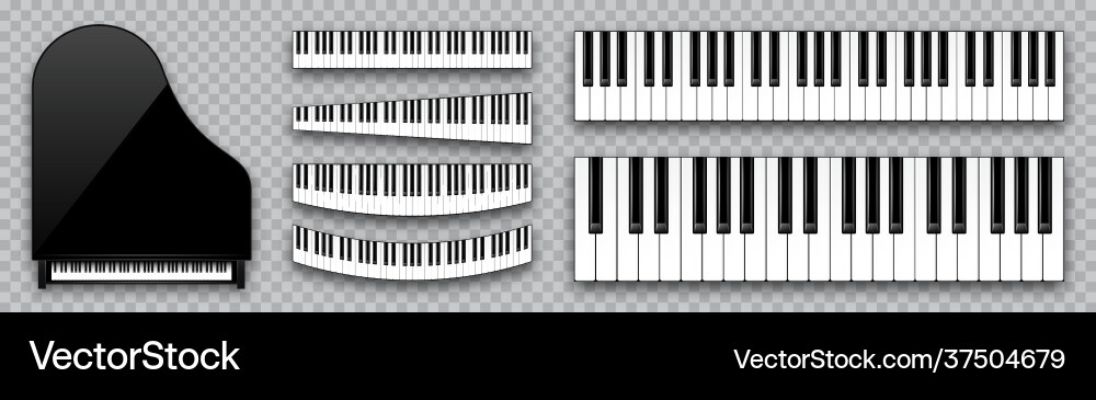 Realistic piano keys collection musical Royalty Free Vector