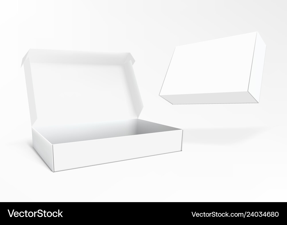 Realistic Open and Closed Packaging Boxes Vector Image