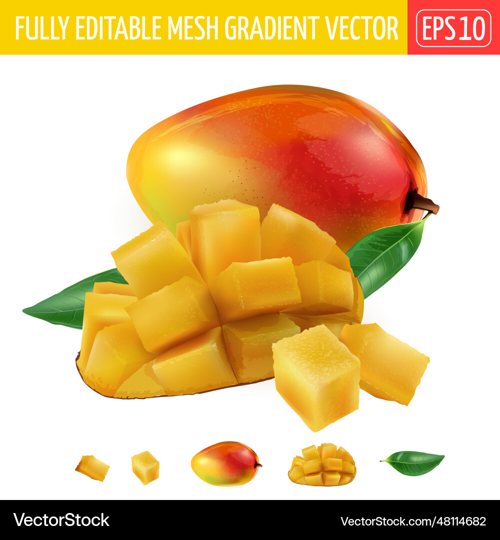 Composition of whole and diced mango with green Vector Image
