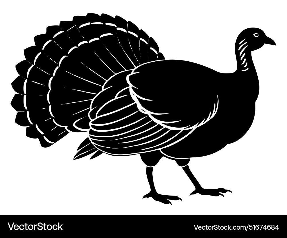 Wild Turkey Logo Vector Images (over 480)