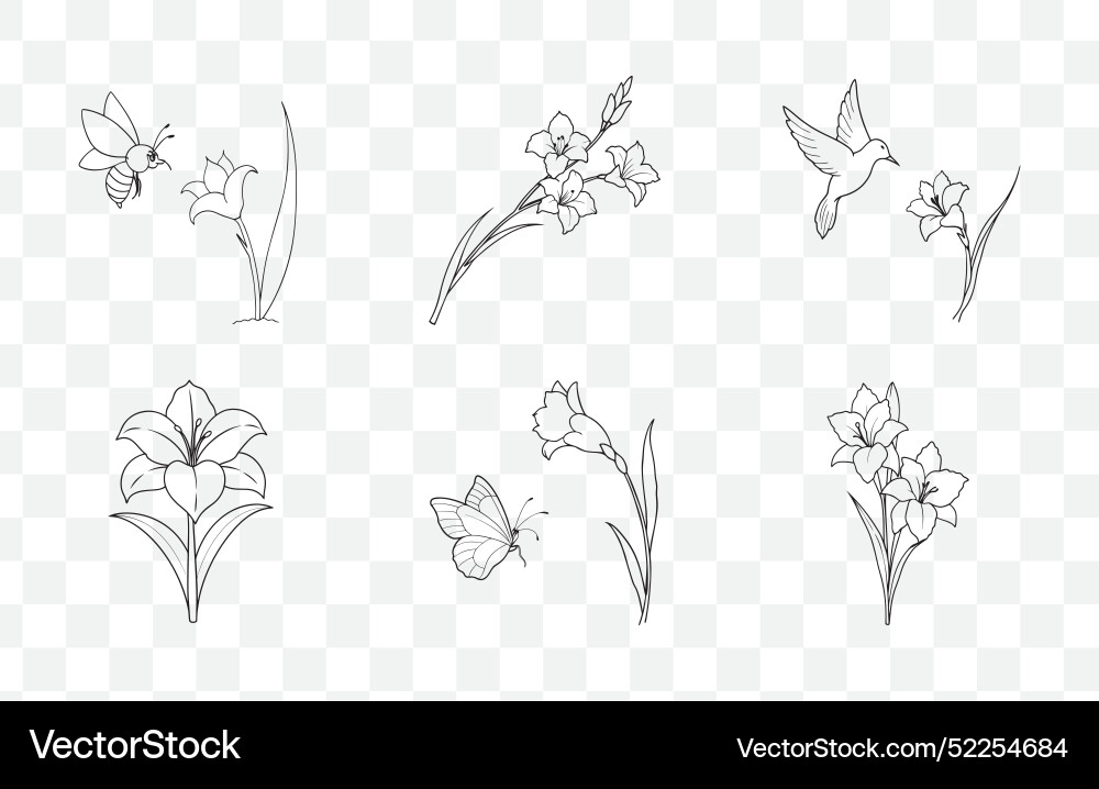 Print gladiolus line art set Royalty Free Vector Image