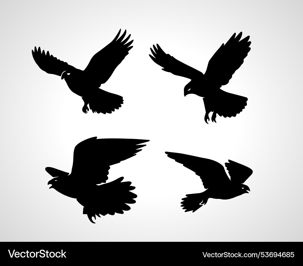 Falcon silhouette Royalty Free Vector Image - VectorStock