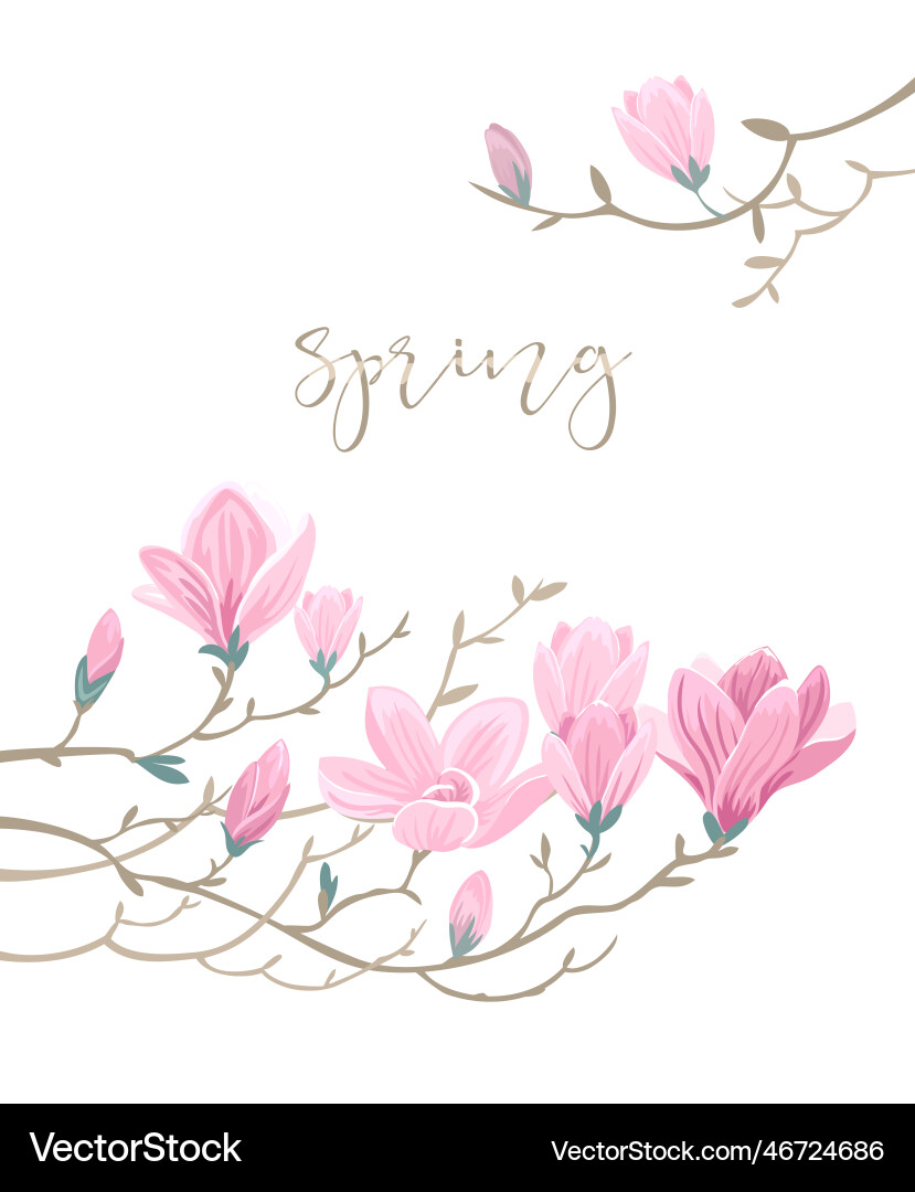Magnolia flower Royalty Free Vector Image - VectorStock