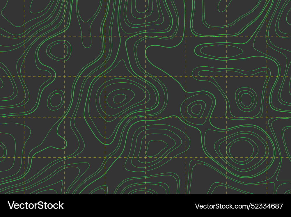 Topographic map wallpaper Royalty Free Vector Image