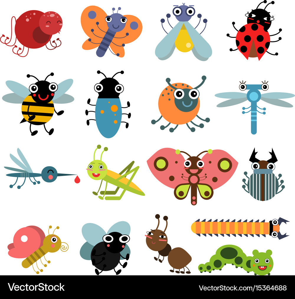 Insects and bugs Royalty Free Vector Image - VectorStock