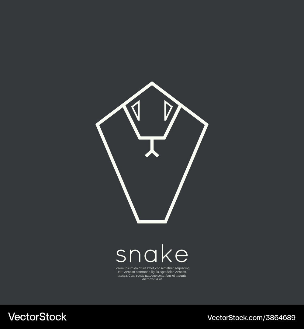 Symbol of the snake Royalty Free Vector Image - VectorStock