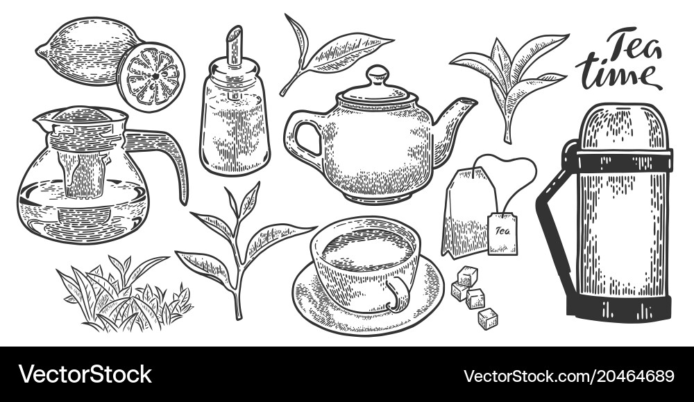 Tea set Royalty Free Vector Image - VectorStock