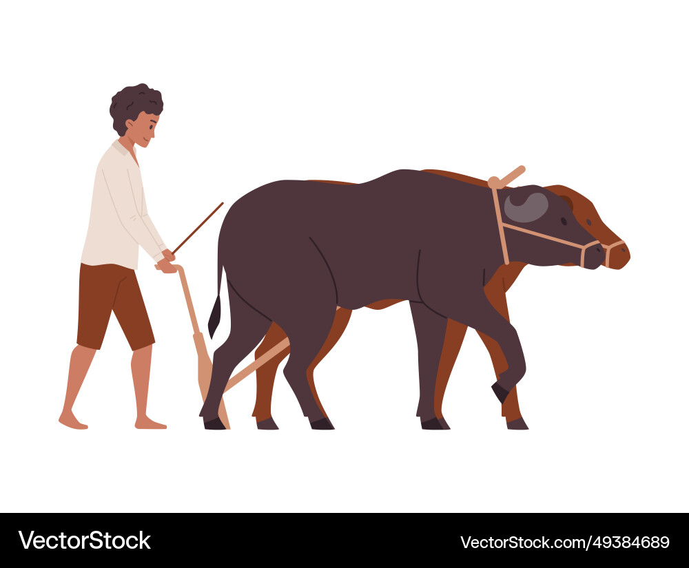 Young man plowing field with buffaloes flat Vector Image