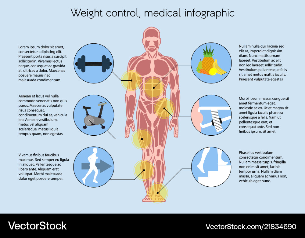 Body Mass Measurement Infographic Royalty Free Vector Image