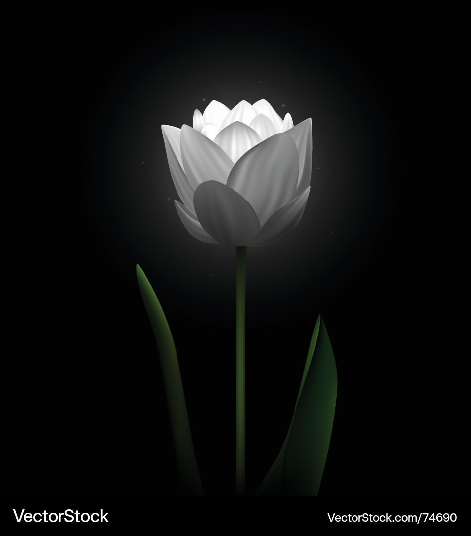 Flower Royalty Free Vector Image - VectorStock