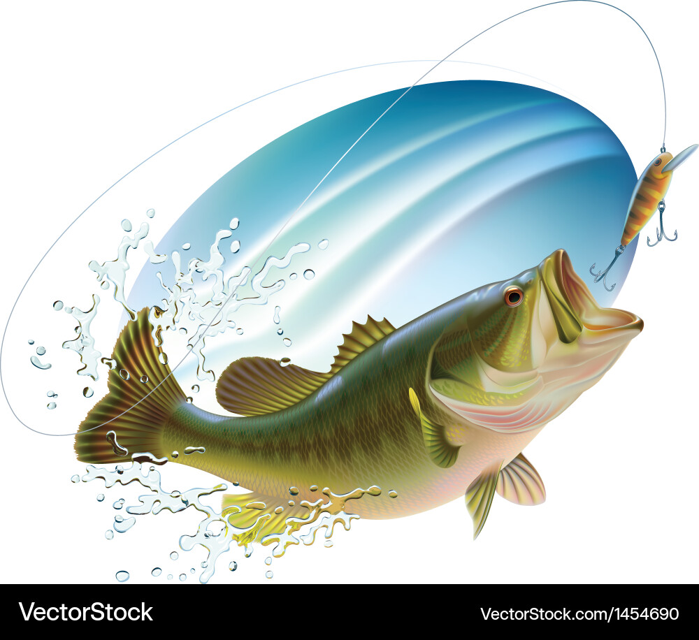 Color Splash Vector Images within Sports & Recreation (over 2,200)