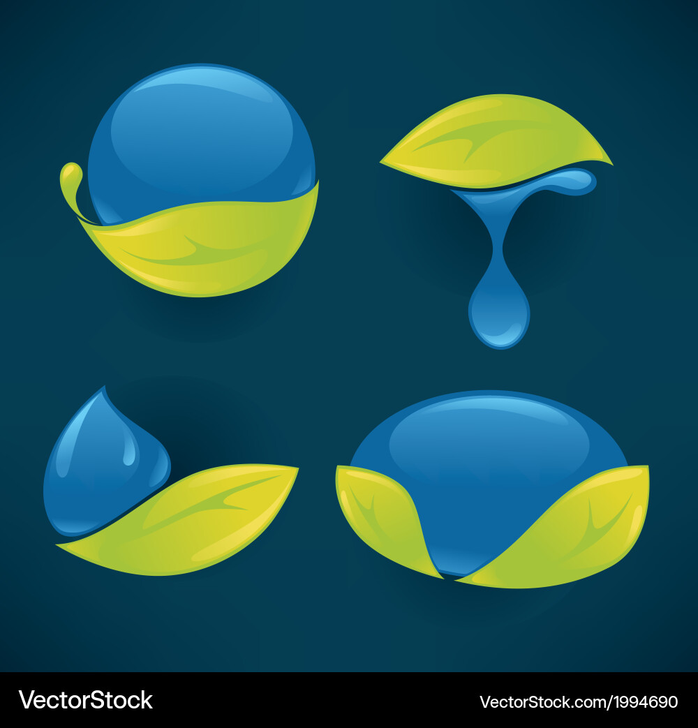 Water and leaves Royalty Free Vector Image - VectorStock