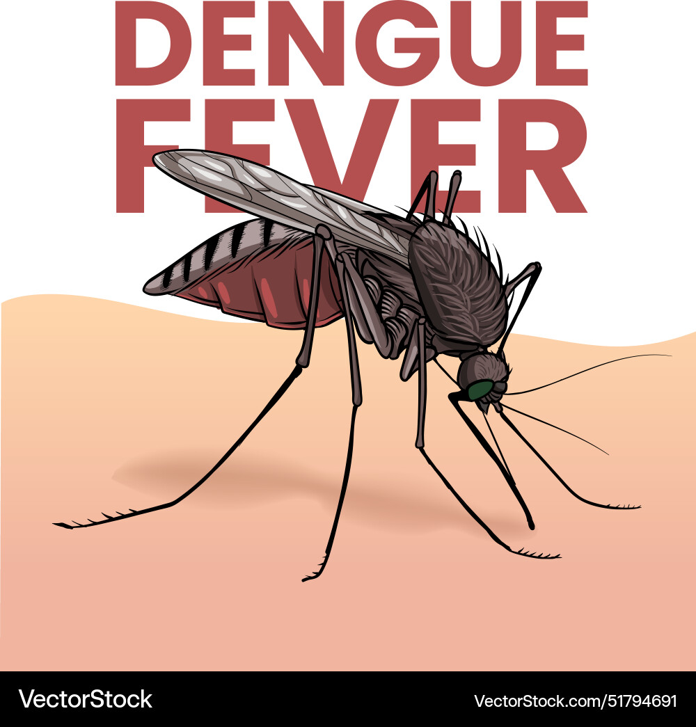 Dengue fever mosquito Royalty Free Vector Image