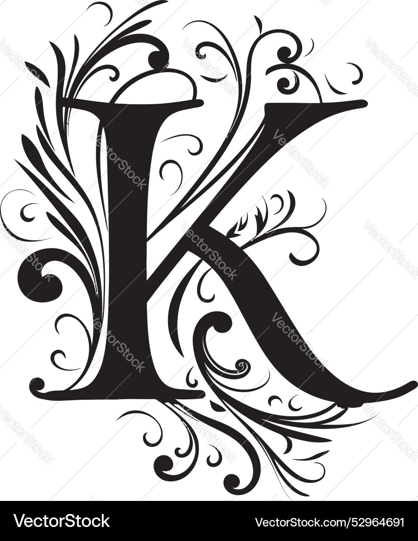 Kaleidoscopic harmony balanced letter k art Vector Image