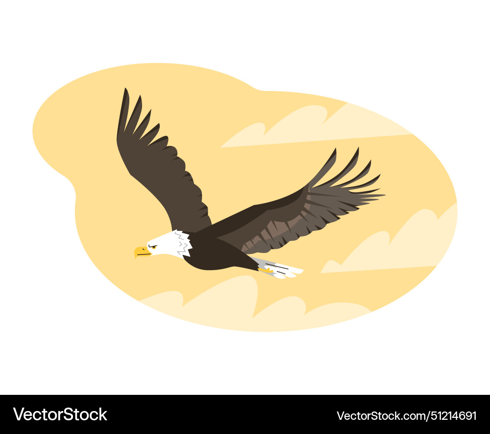 Soaring eagle golden sky Royalty Free Vector Image