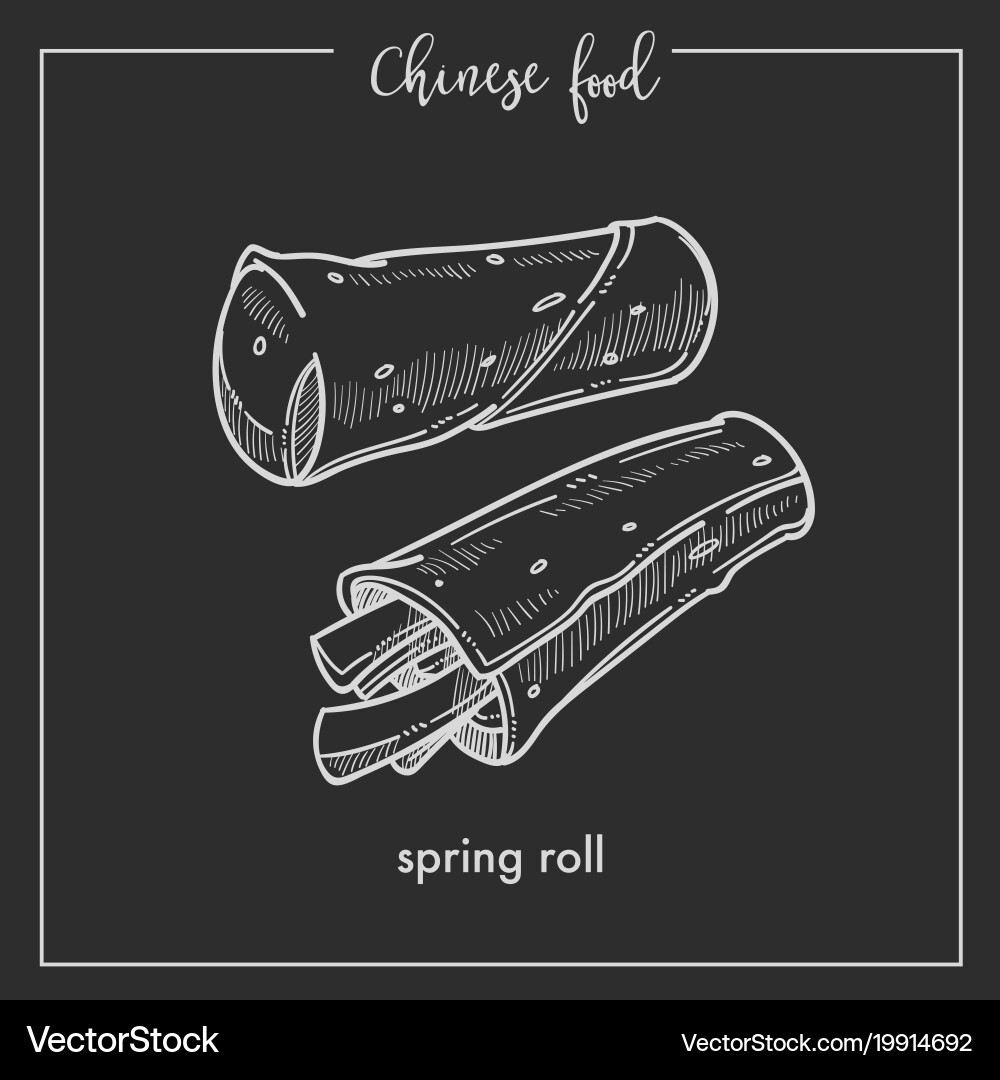 Chinese Spring Roll Sketch Royalty Free Vector Image