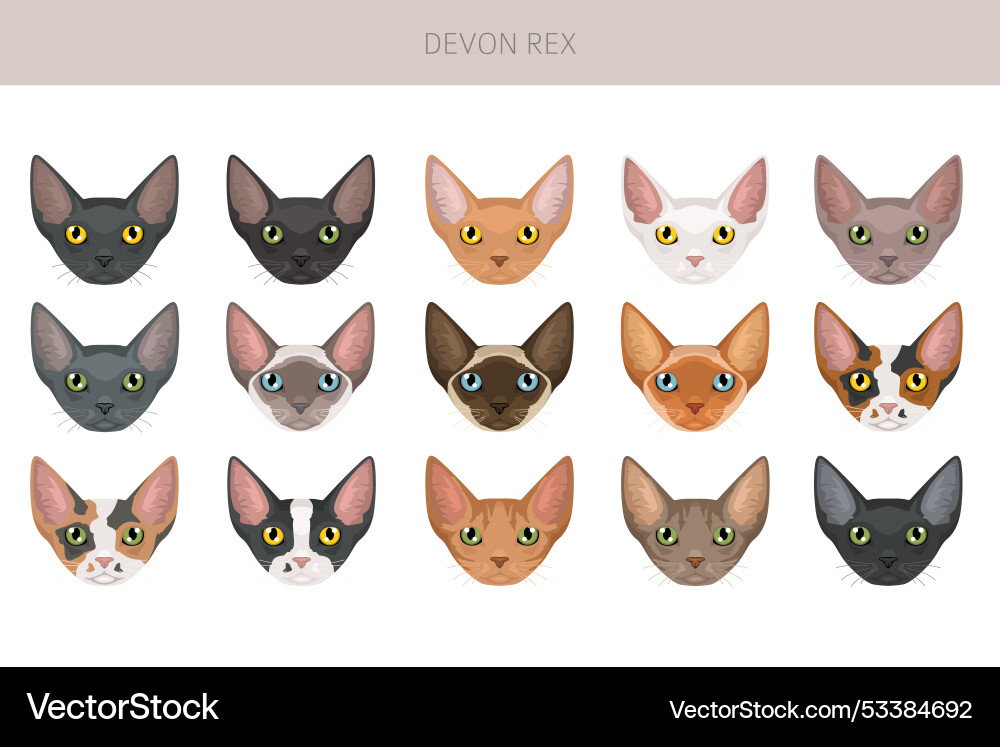 Devon rex cat clipart all coat colors set Vector Image