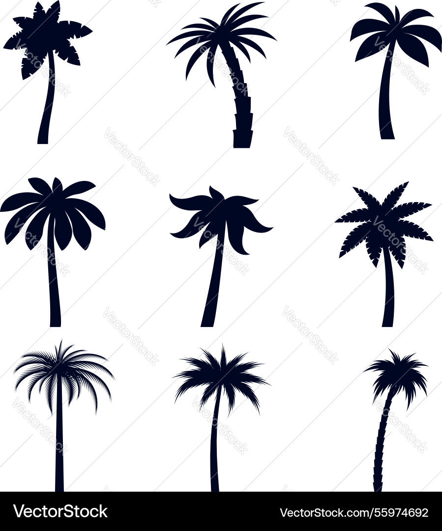 Tropical palm trees Royalty Free Vector Image - VectorStock