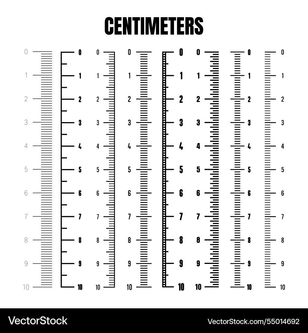 Vertical centimeter scale for measuring length Vector Image