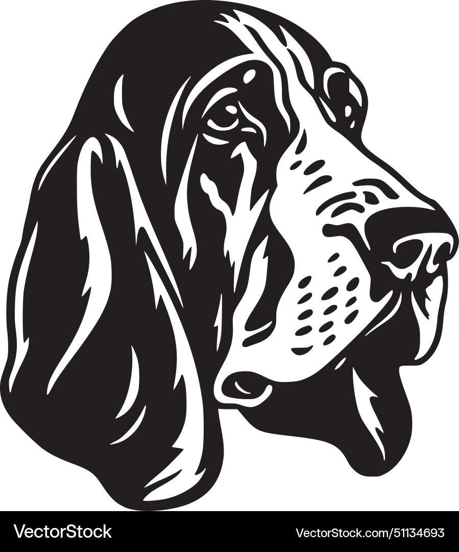 Basset hound - black and white isolated icon Vector Image