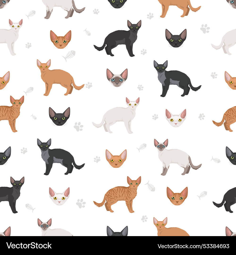 Devon rex cat seamless pattern all coat colors Vector Image