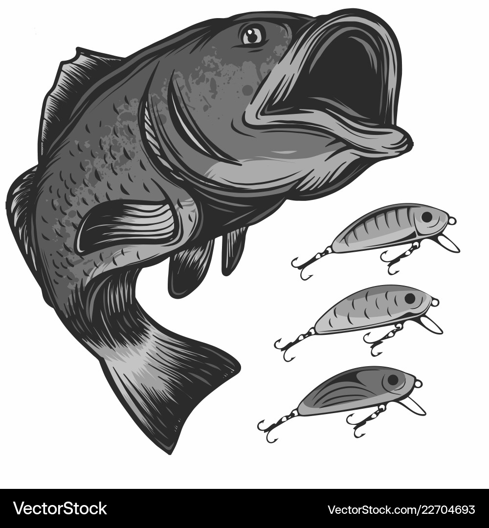 Fishing Lures & Bass Logo Royalty Free Vector Image