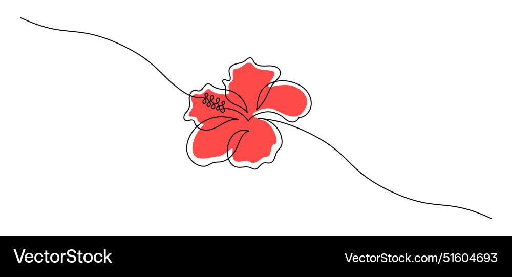 Hibiscus flower in one continuous line drawing Vector Image
