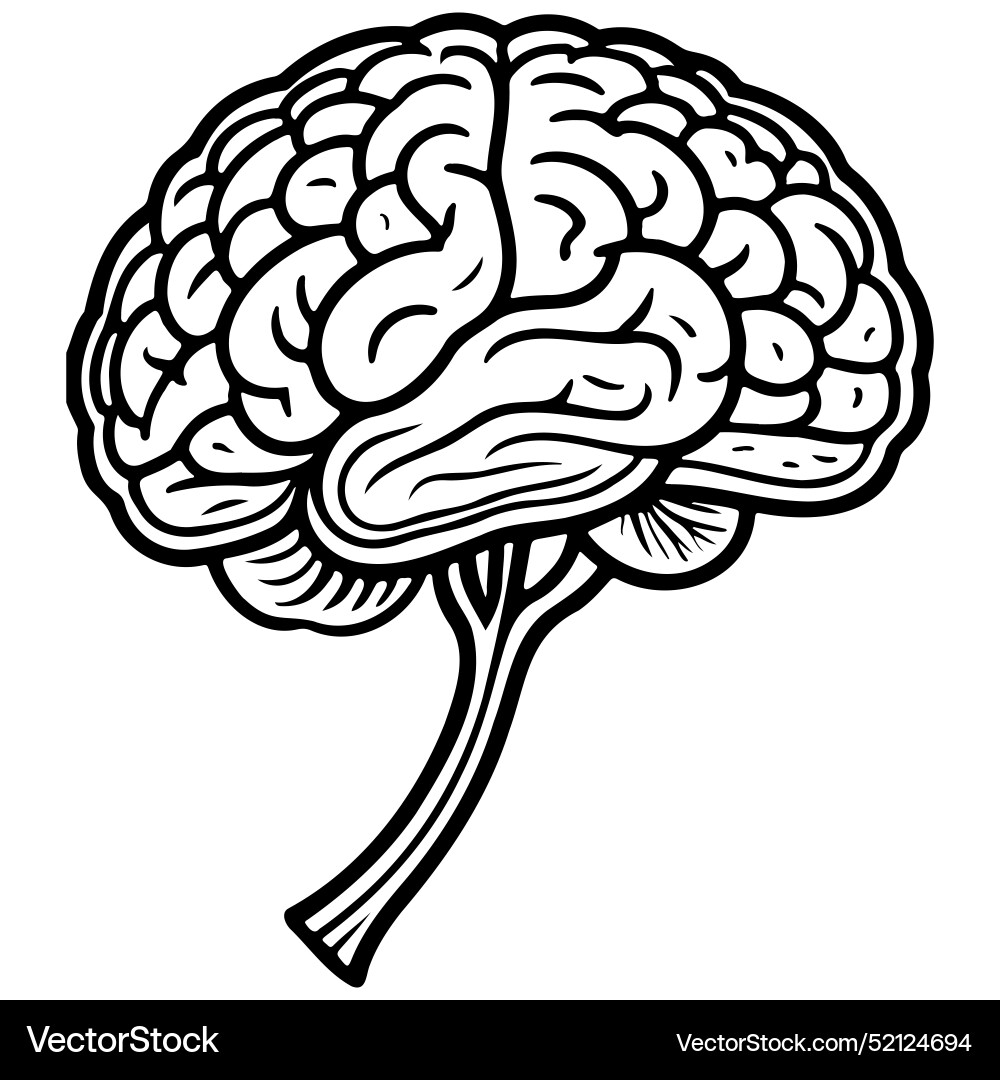 Brain drawing line head art black realistic Vector Image