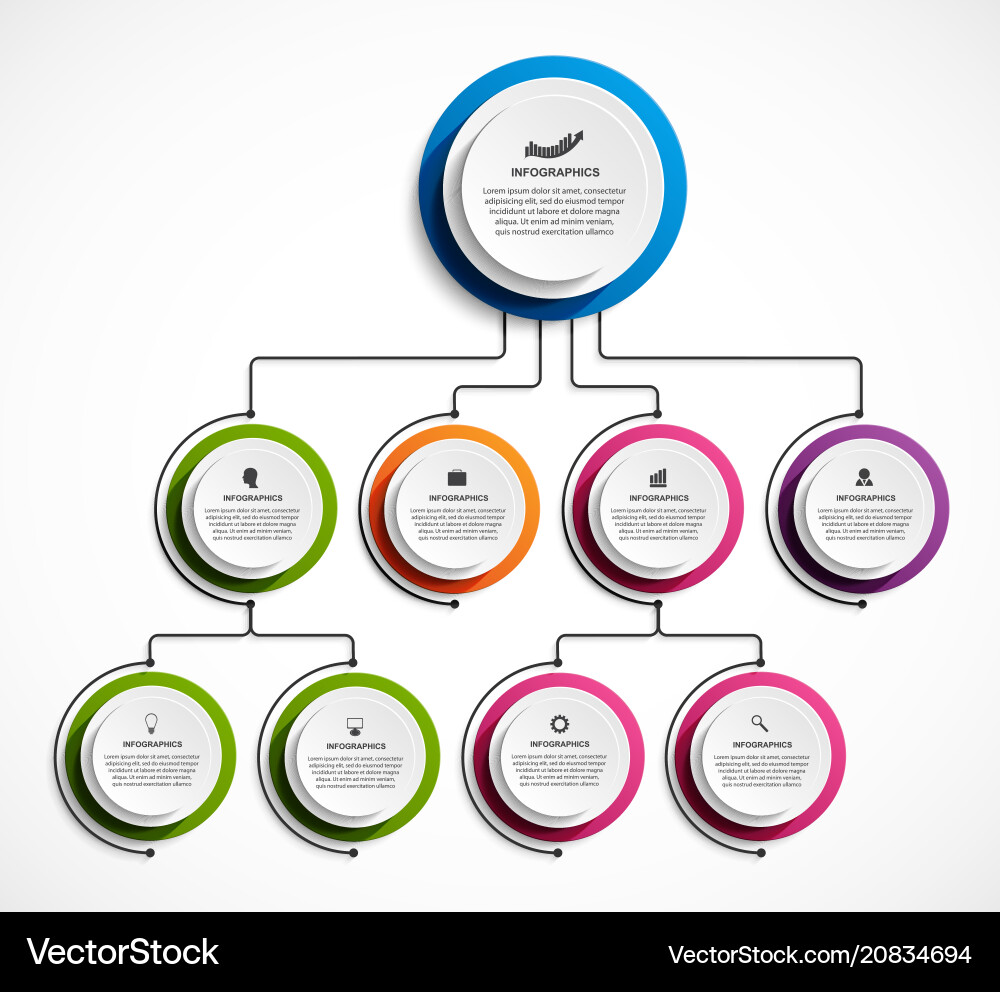 Infographic design organization chart template Vector Image