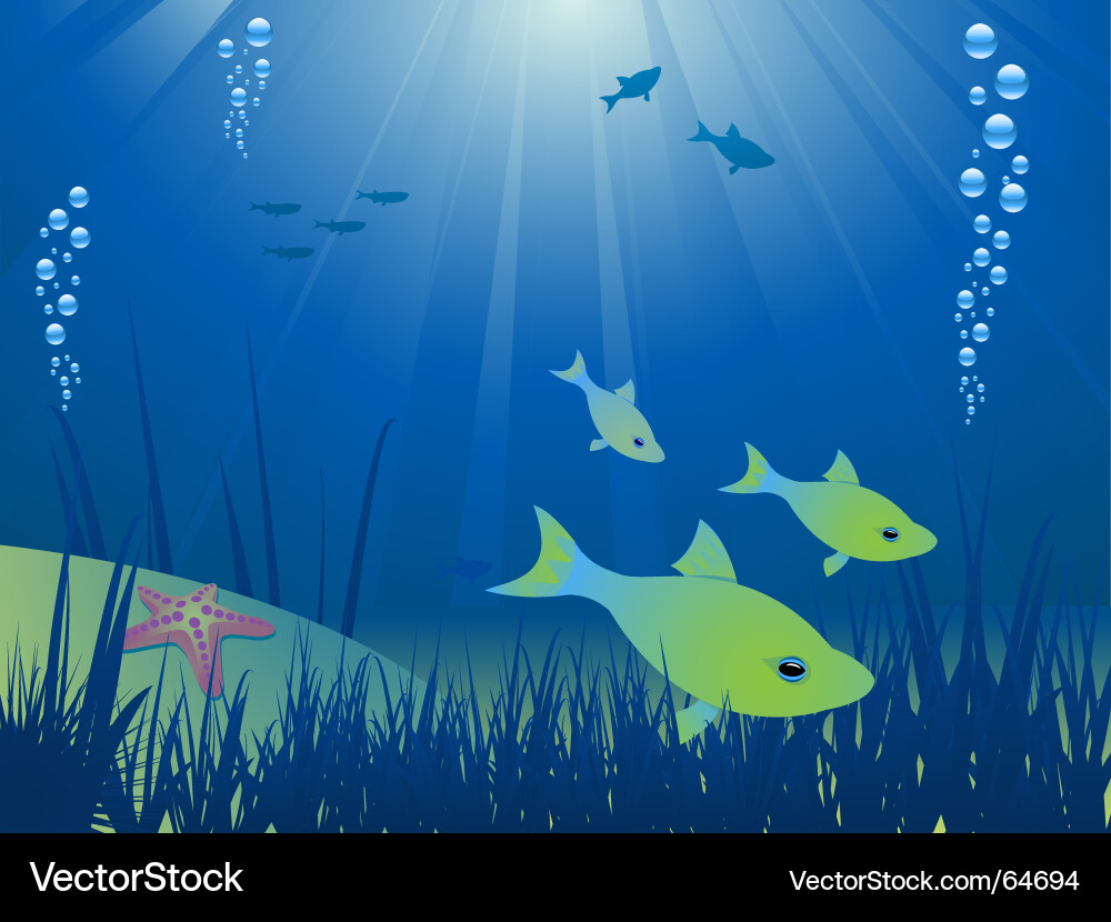 Underwater Paradise Royalty Free Vector Image - VectorStock