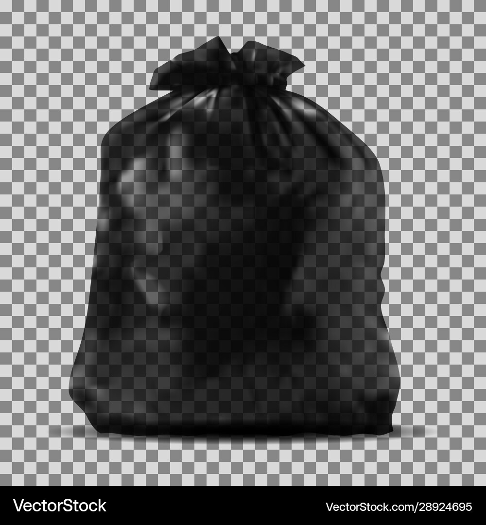 Bag Royalty Free Vector Image - VectorStock