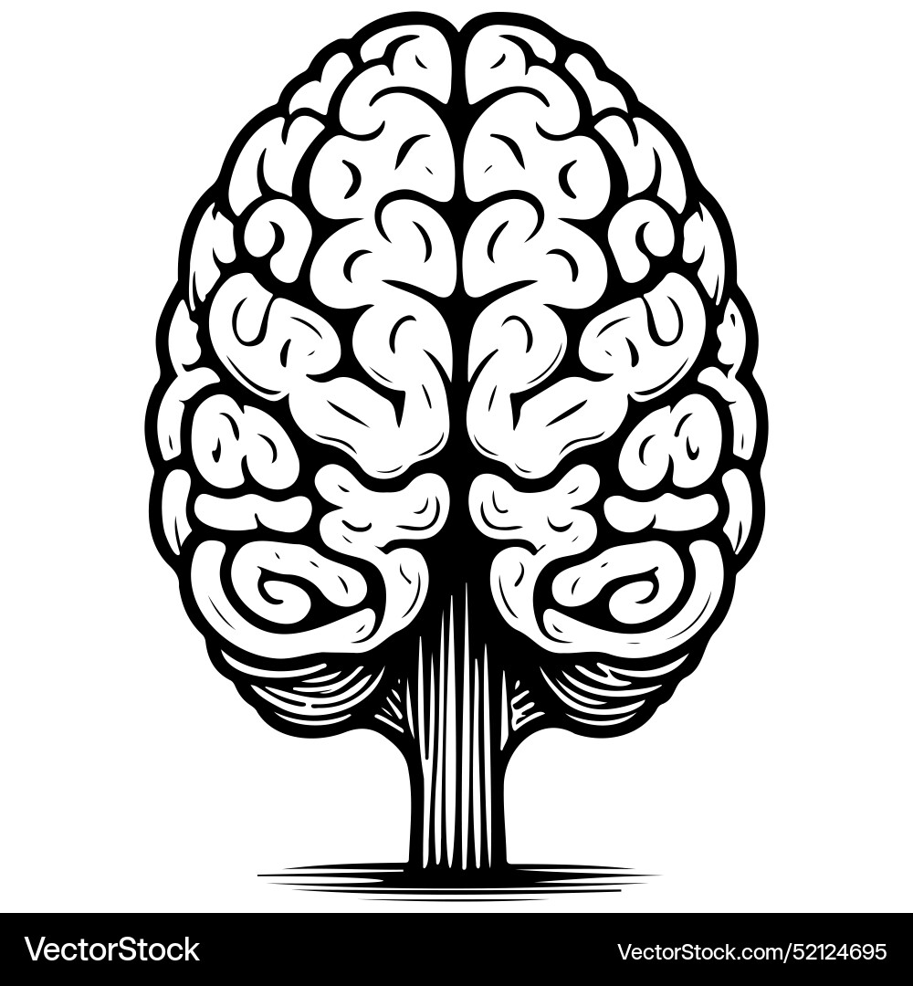 Brain drawing outline cartoon line engraving Vector Image
