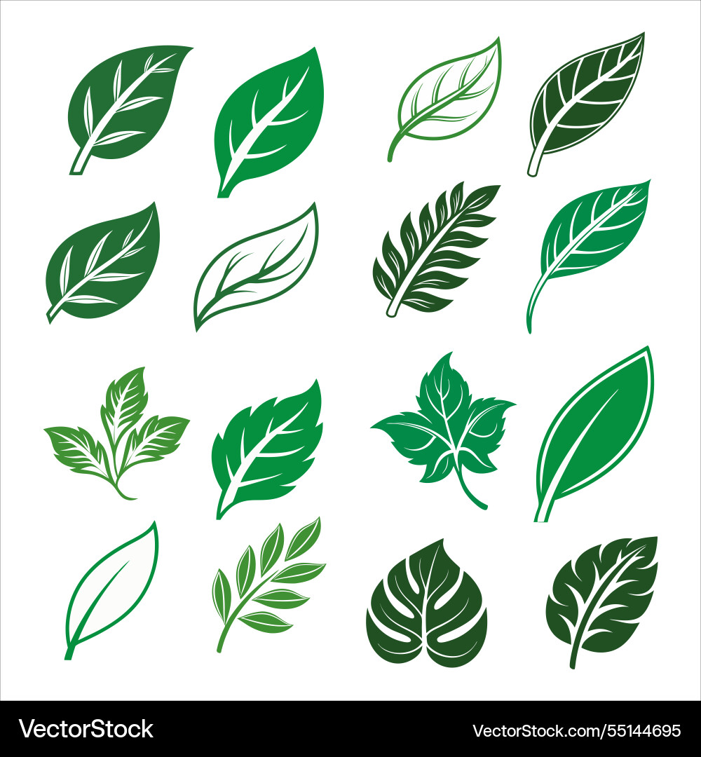 Diverse green leaf for design projects Royalty Free Vector