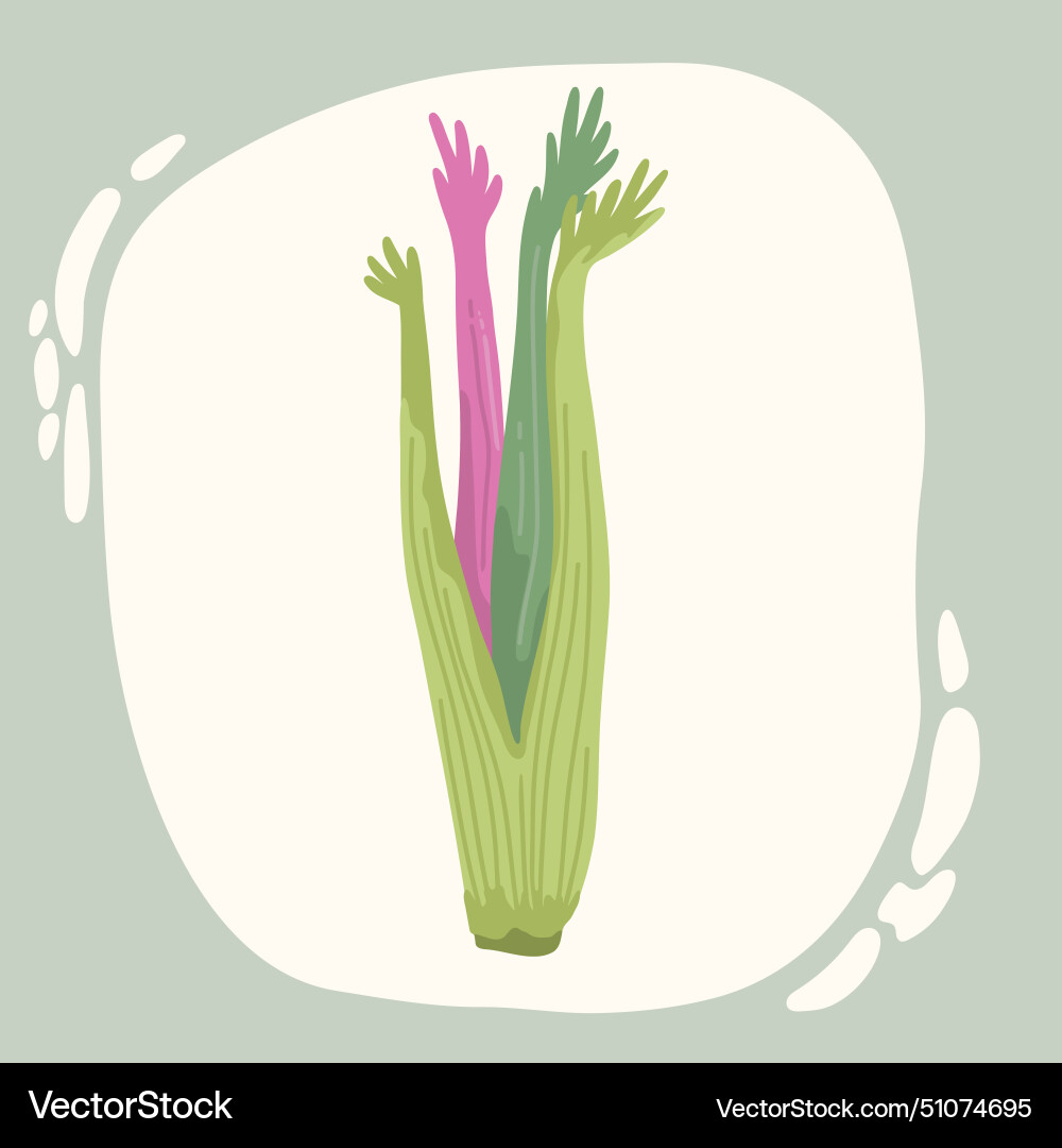 Flat natural celery icon Royalty Free Vector Image