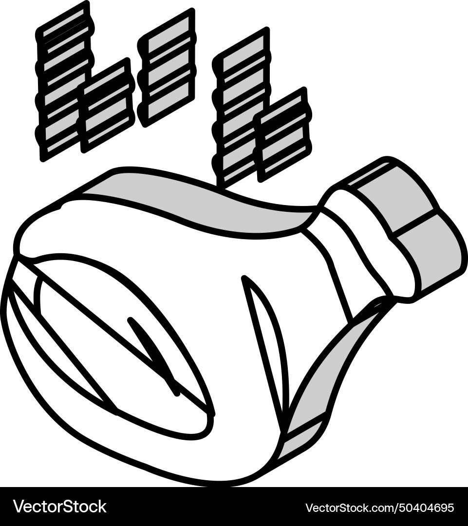 Hot chicken fried isometric icon Royalty Free Vector Image