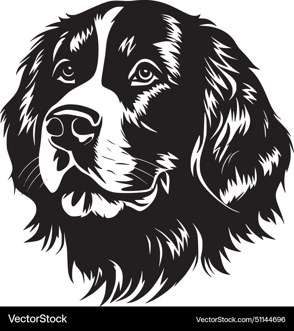 Bernese mountain dog - minimalist and simple Vector Image