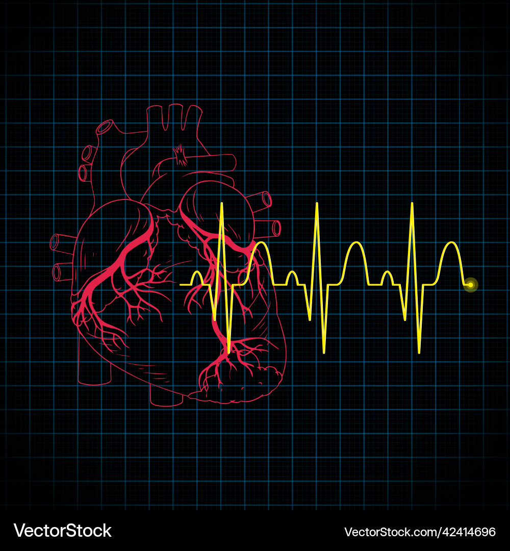 Heartbeat with heart rate graph Royalty Free Vector Image