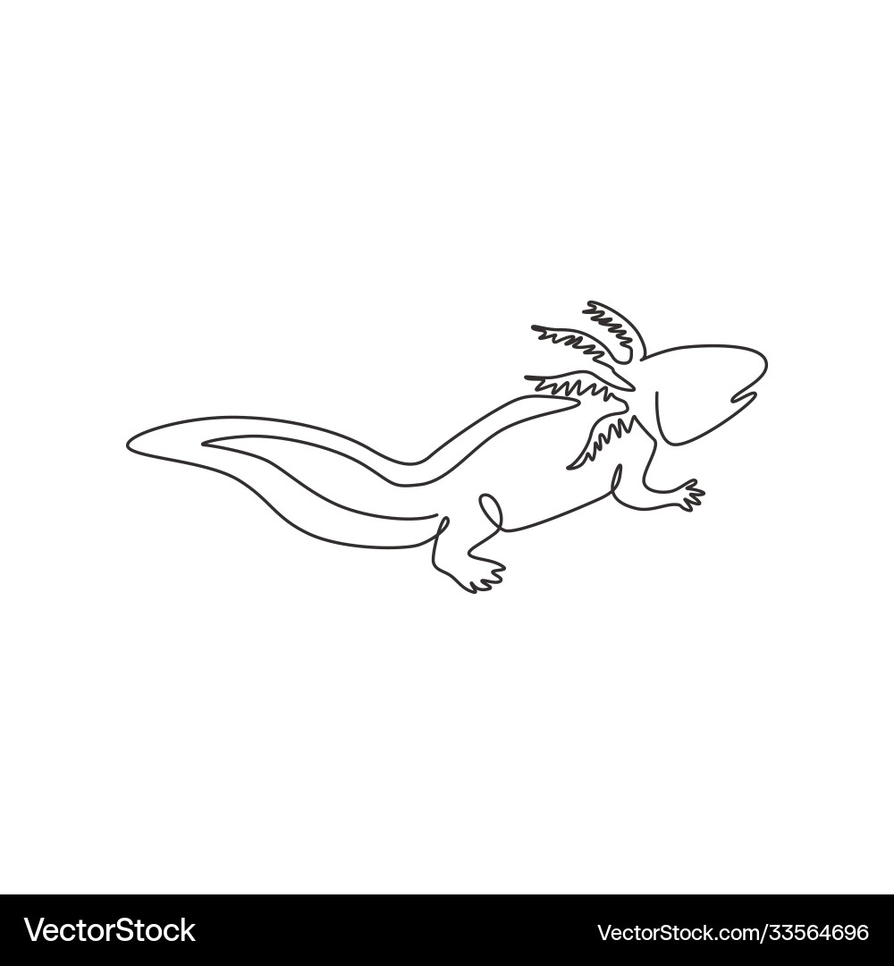 One single line drawing adorable axolotl Vector Image