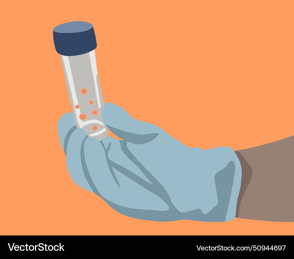 Eggs in a test tube Royalty Free Vector Image - VectorStock