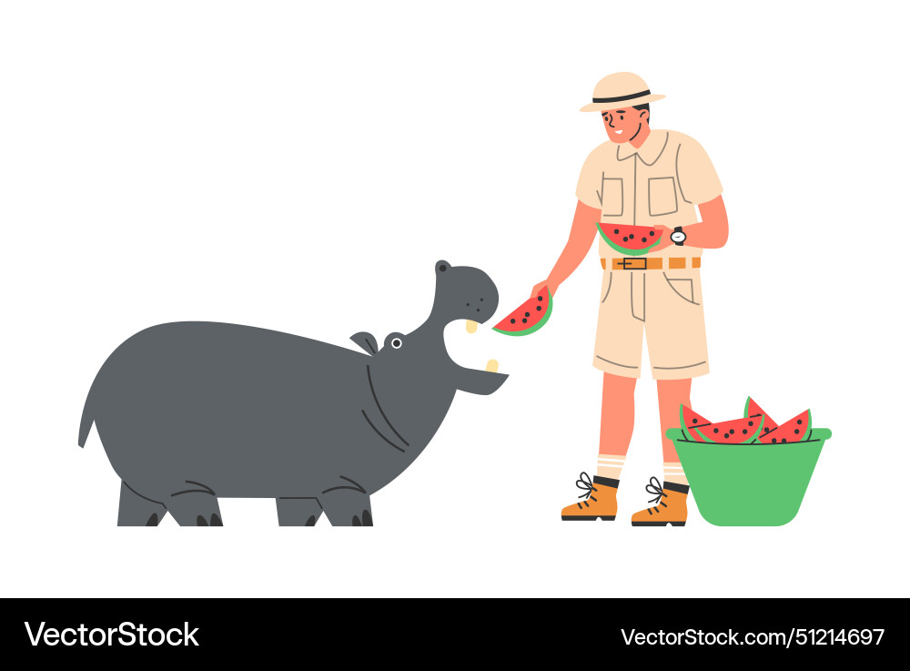 Zookeeper feeding hippo Royalty Free Vector Image